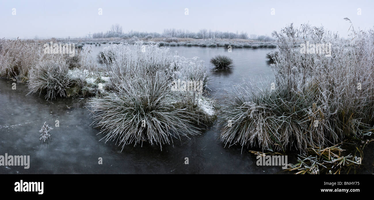 The Netherlands Holland landscape scenery nature winter canal channel ...