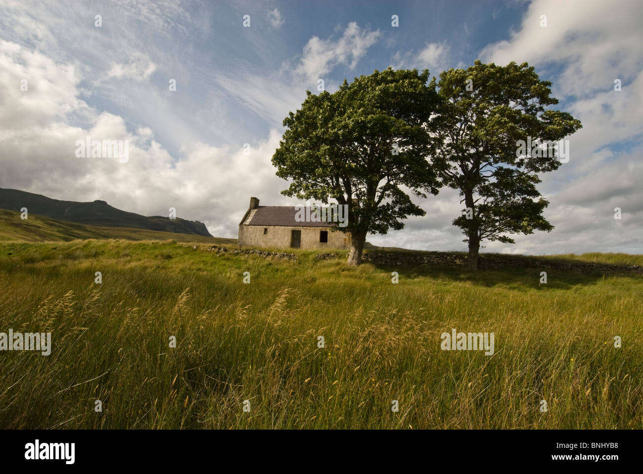 Traditional old derelict farmhouse Windswept Scottish moorland ...