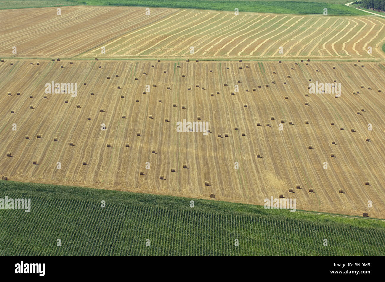 Agriculture farming fields field rural harvesting harvest round bales ...