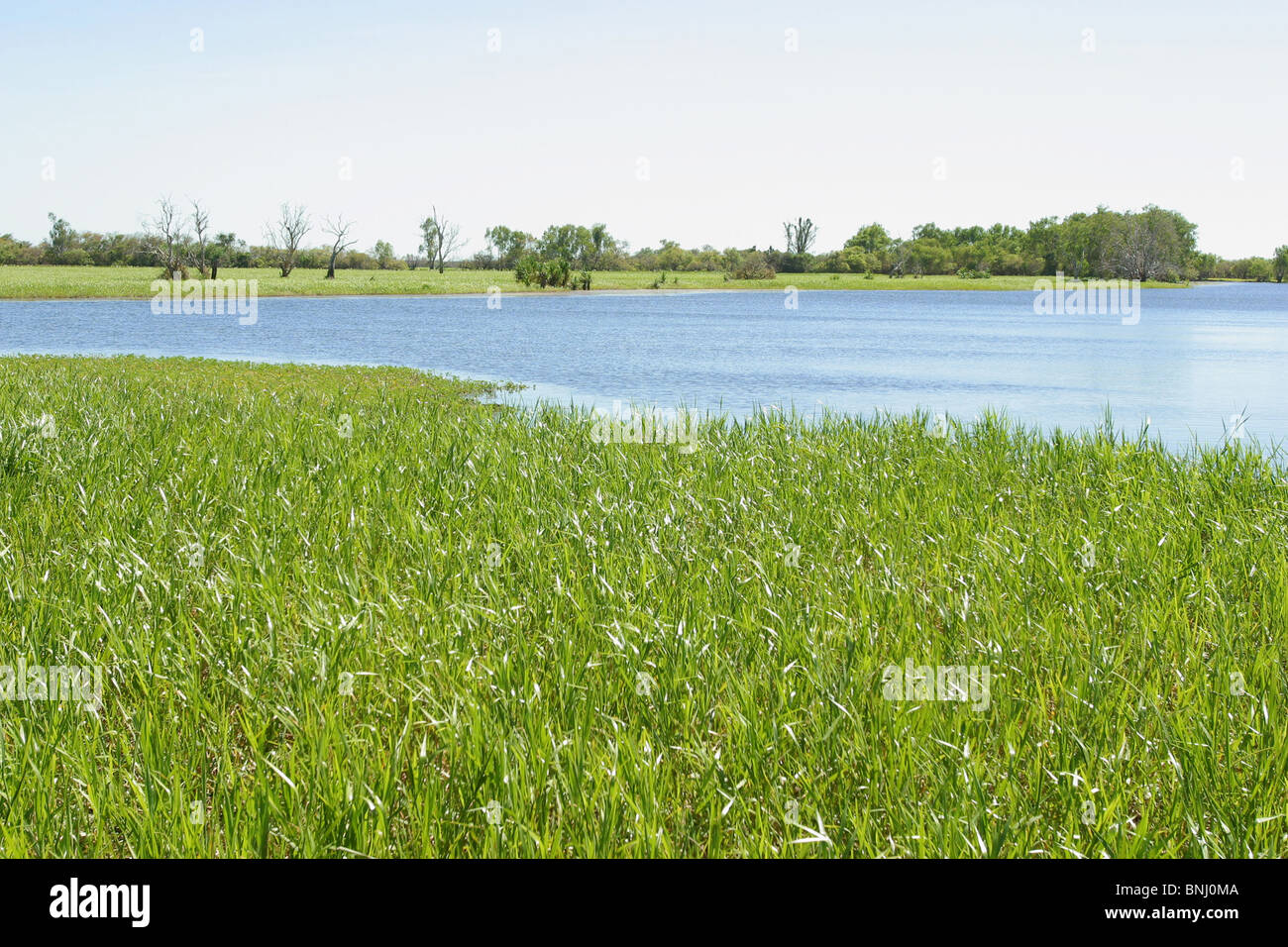 Yellow Waters Kakadu Northern Territory Australia Stock Photo - Alamy