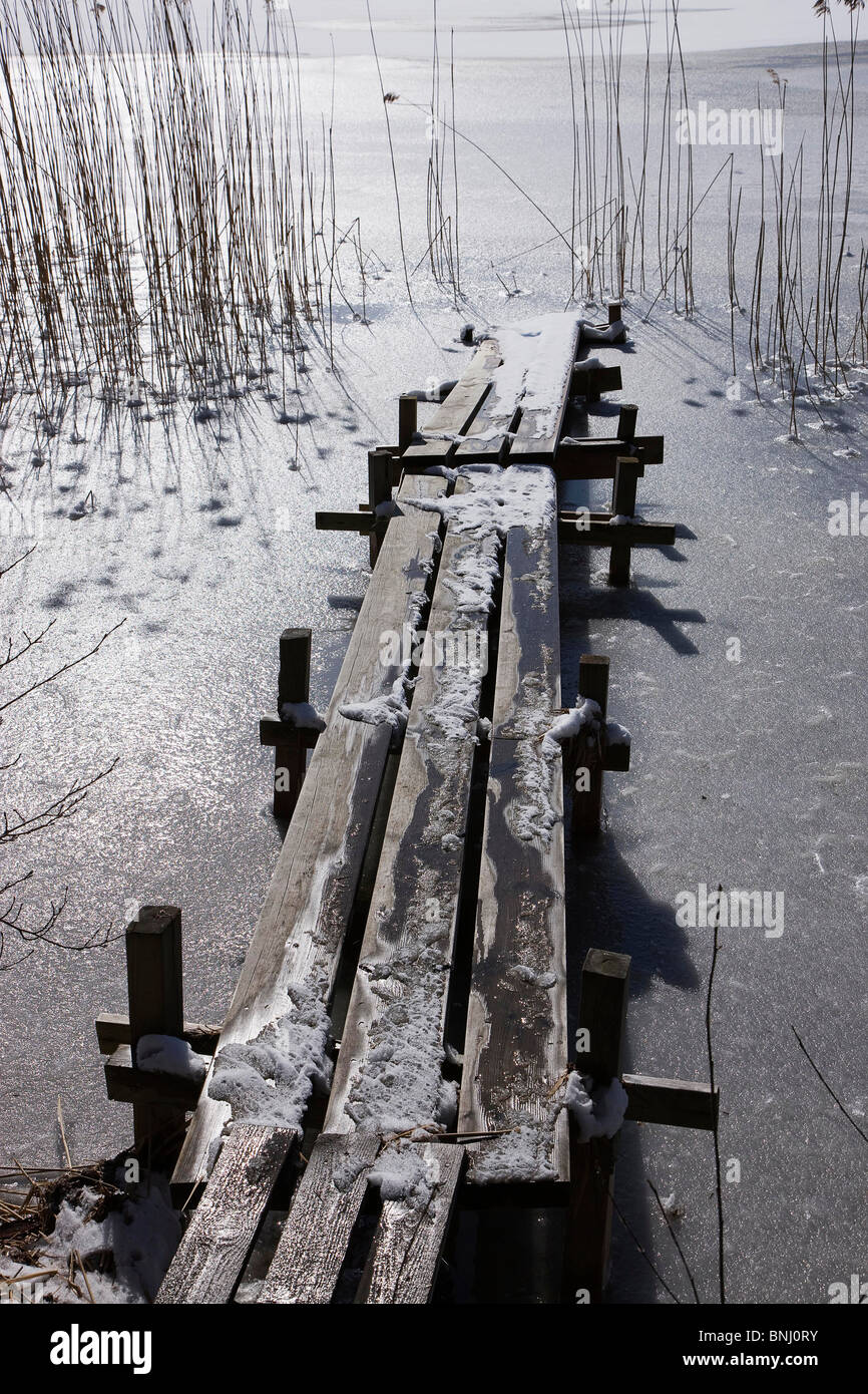 Bridge Ice Freeze Frozen lake Landscape Nature Winter Lake Reed Cold ...