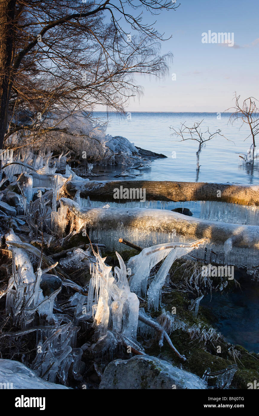 Trees Cold Eco ice Icicle Nature Season Water Winter Freeze Frozen ...