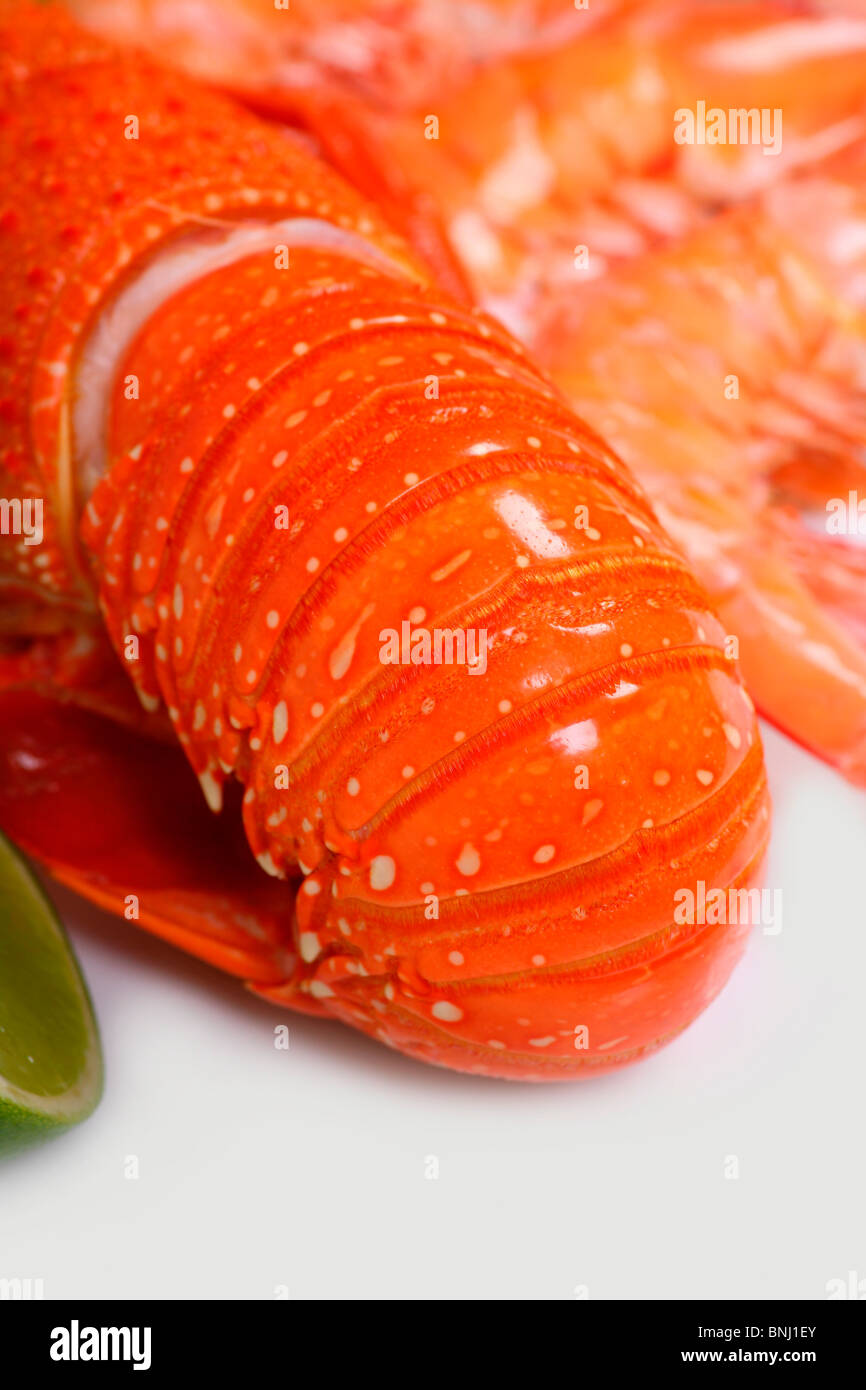 Tail meat hi-res stock photography and images - Alamy