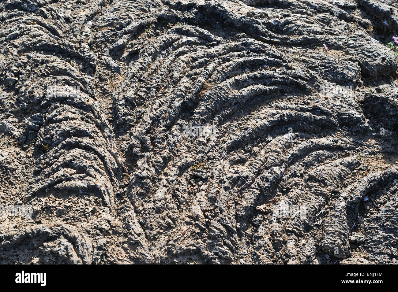 Solidified lava hi-res stock photography and images - Alamy