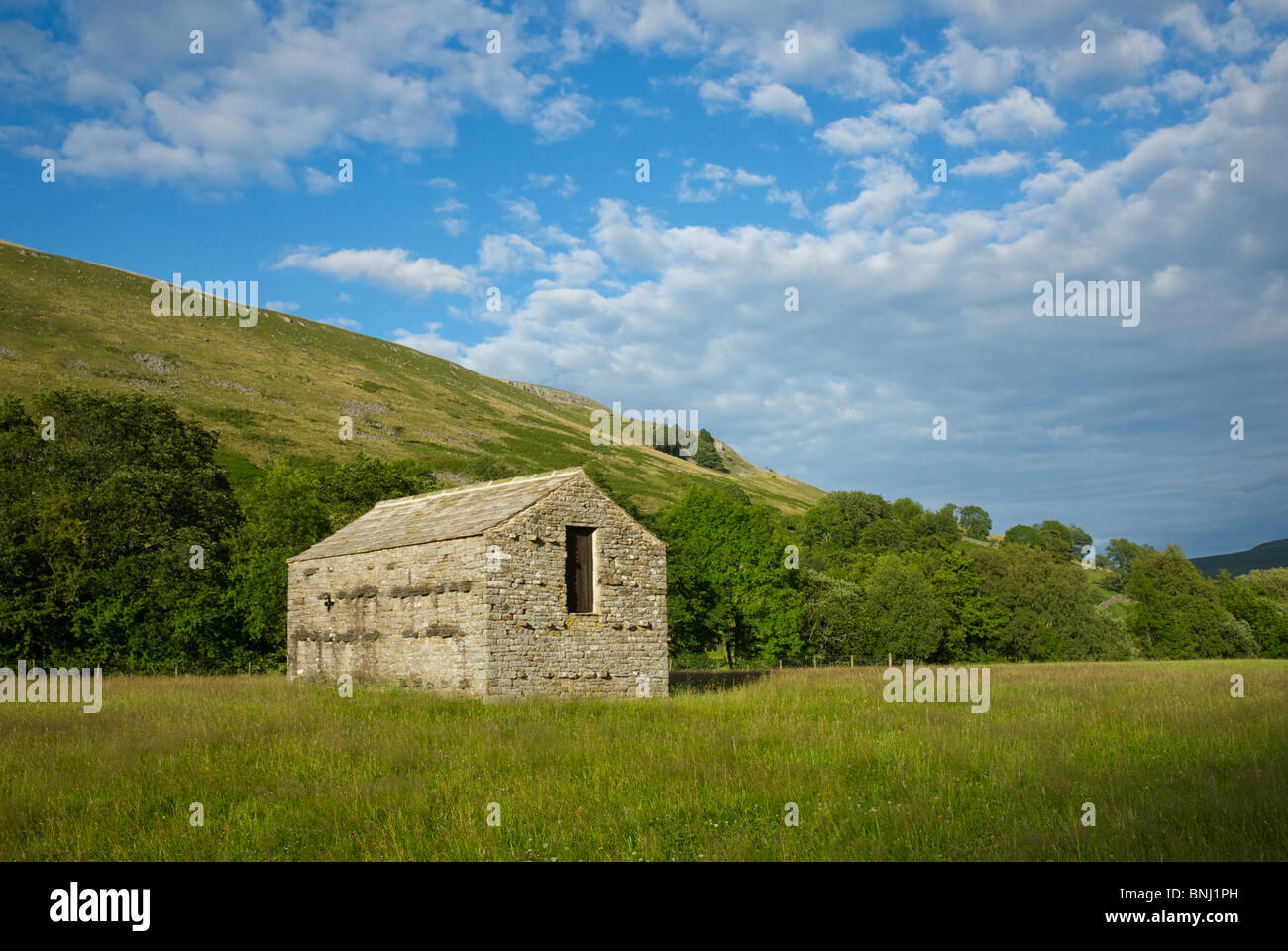 Field barn in Upper Swaledale, near Muker, Upper Swaledale, Yorkshire ...