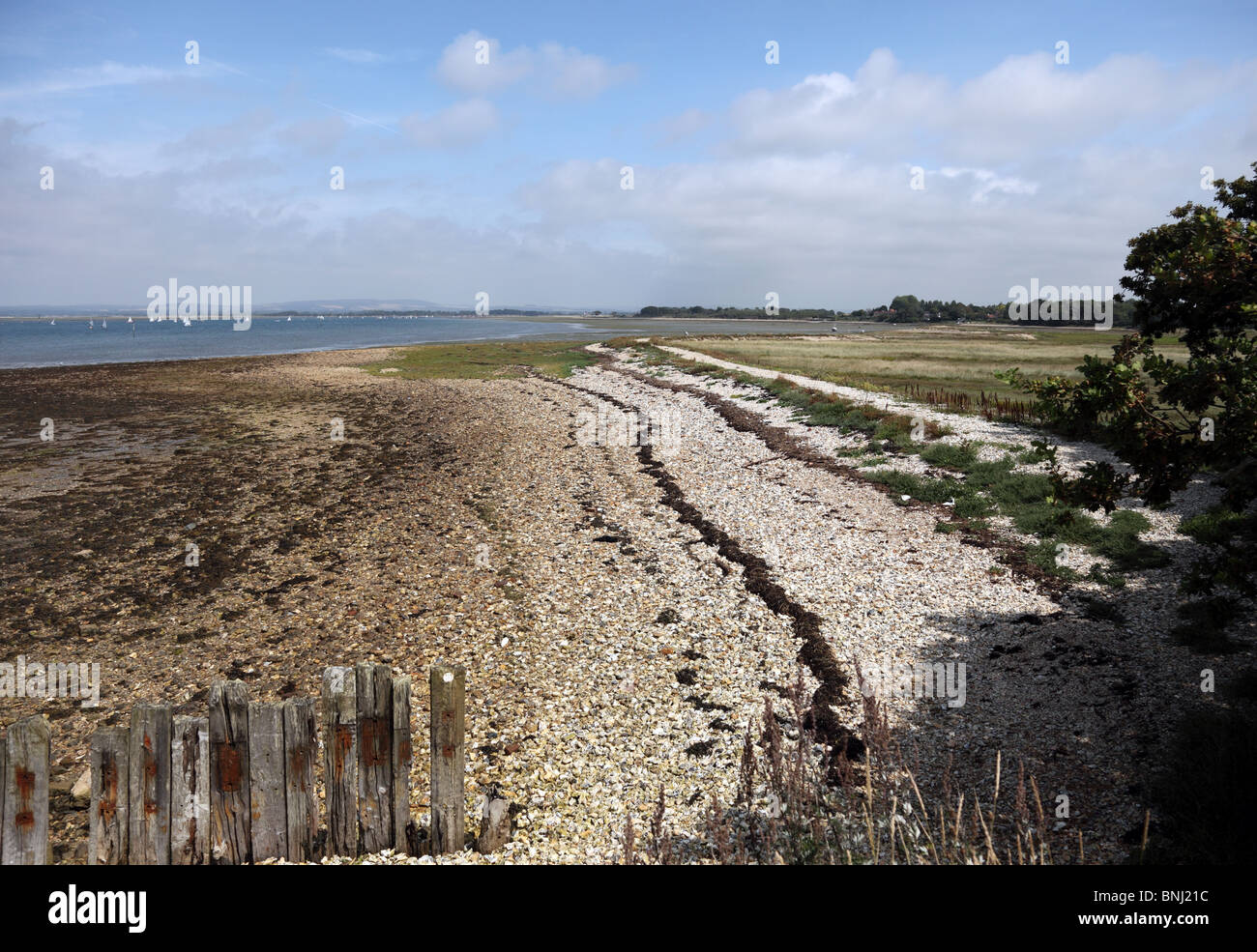 Ella Nore, a shingle spit in Chichester Harbour between Itchenor and ...