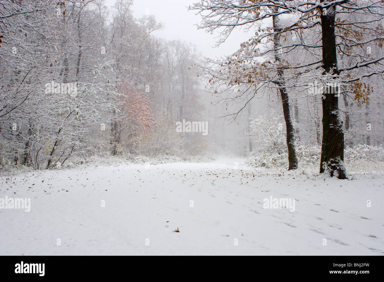 The first snow hi-res stock photography and images - Alamy