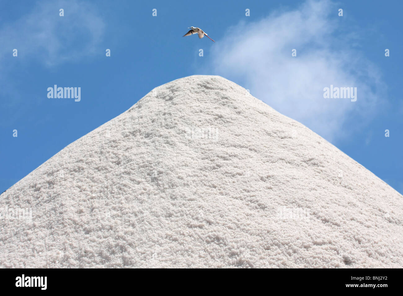 A pile of marine salt Stock Photo - Alamy