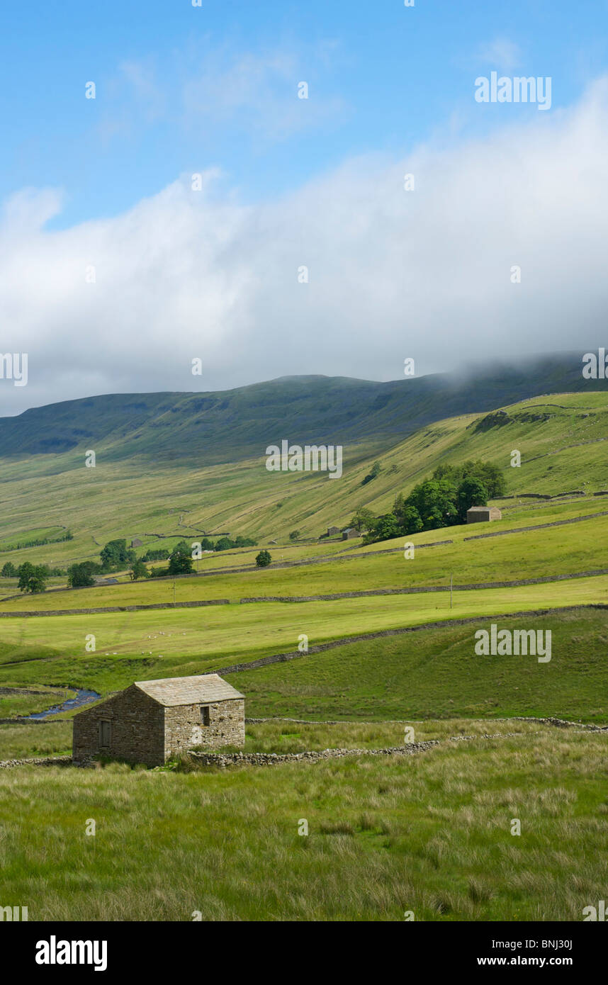 Field barn, and mist over Mallerstang edge, Mallerstang, Cumbria ...