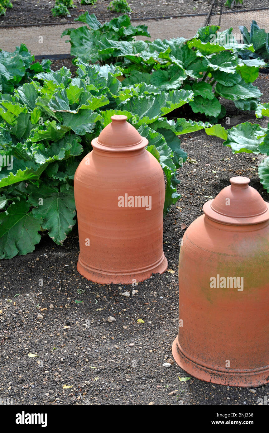 Rhubarb forcing pots hi-res stock photography and images - Alamy