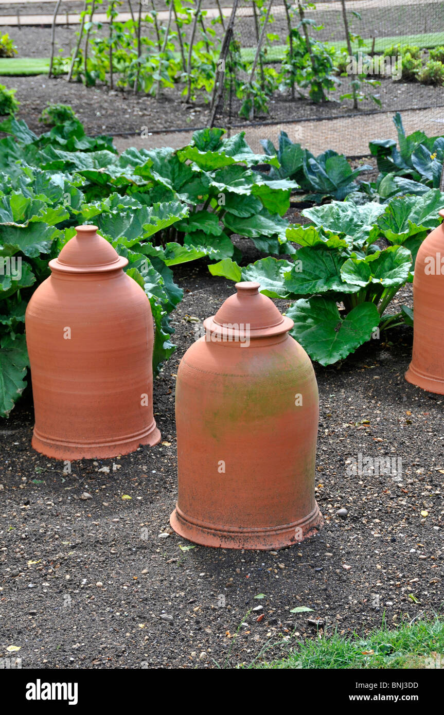 Rhubarb forcing pots hi-res stock photography and images - Alamy