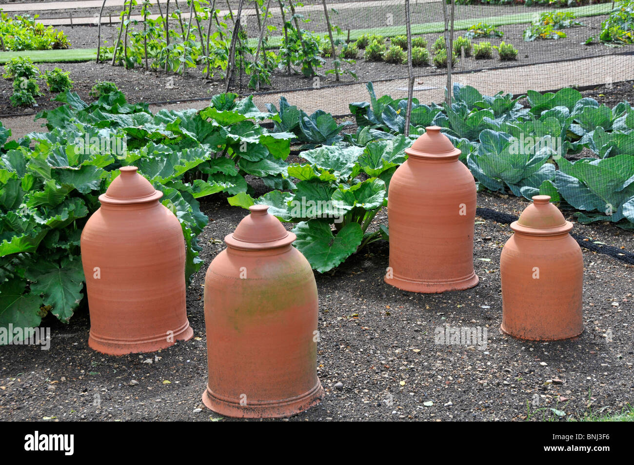 Rhubarb forcing pots hi-res stock photography and images - Alamy
