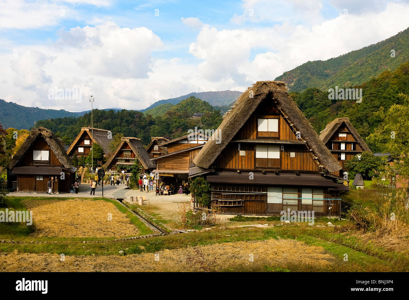 Asia Rural Homes