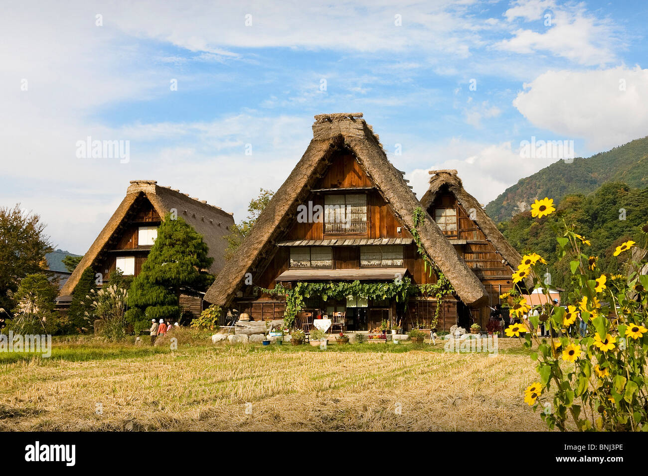 Japan Asia Shirakawa Go city straw roof thatched roof houses homes ...