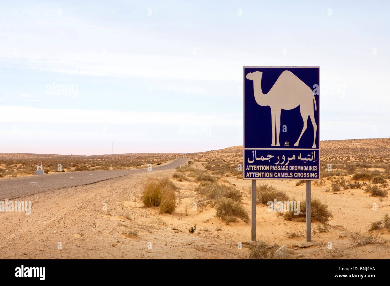 Tunisia Africa North Africa Arabian Arabic Arab Sahara Douz desert ...