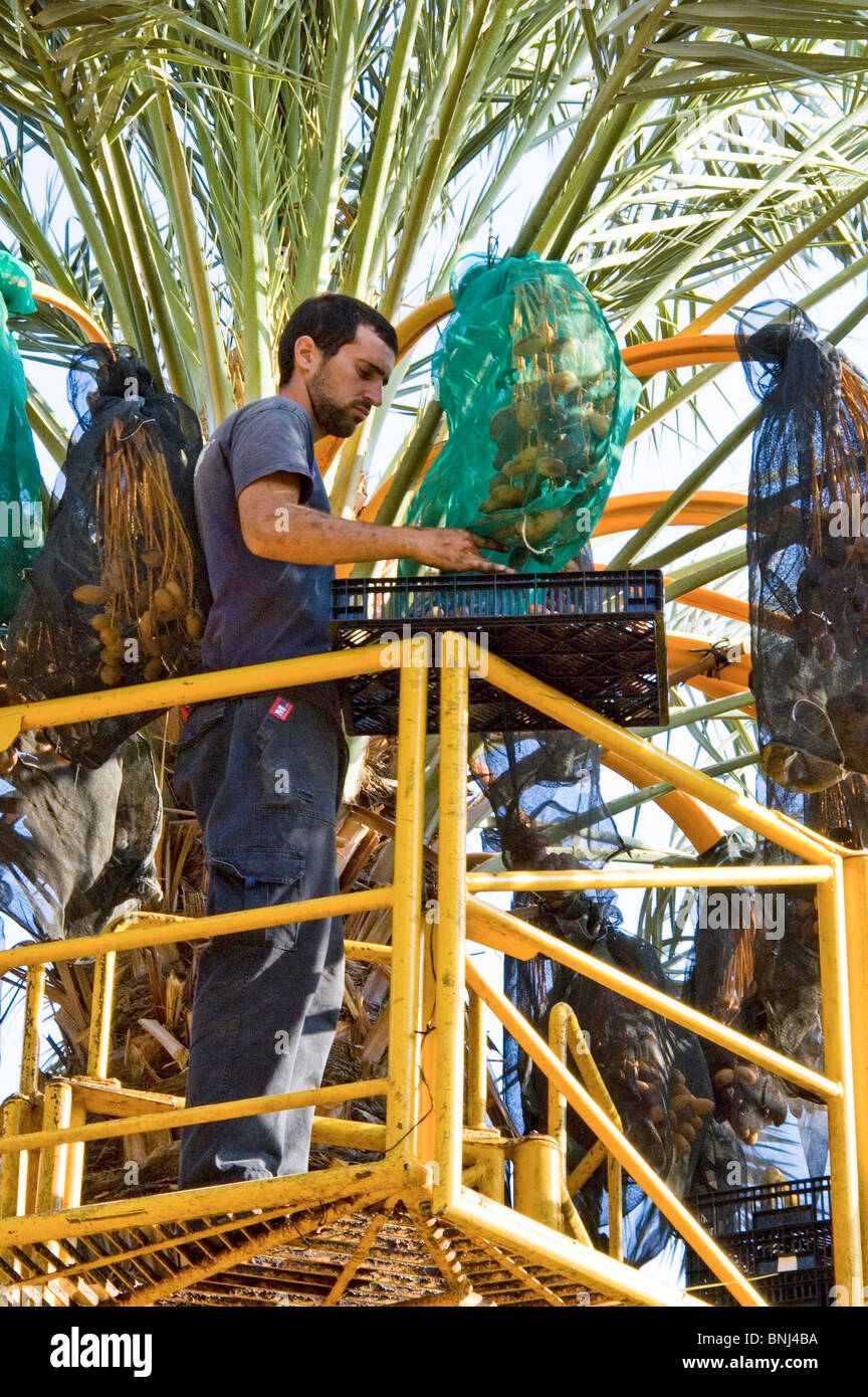 Israel, Jordan Valley, Kibbutz Ashdot Yaacov, Hydraulic platform for ...