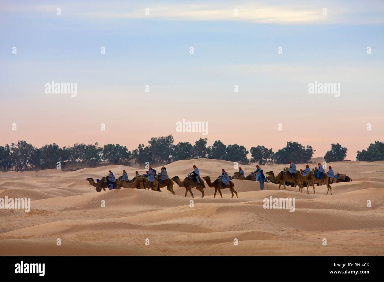 Tunisia Africa North Africa Arabian Arabic Arab Douz town city Sahara ...