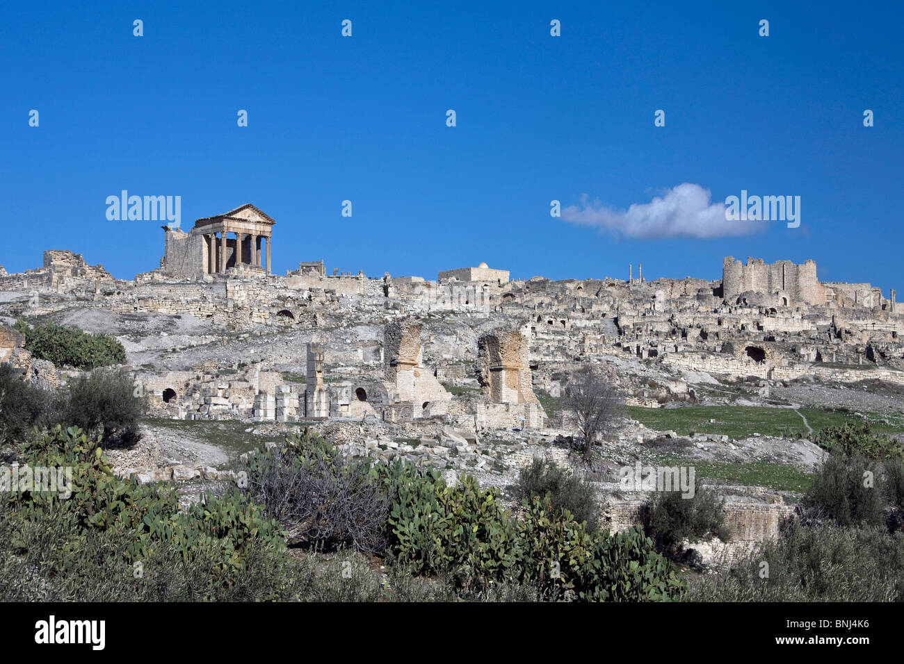 Tunisia Africa North Africa Arabian Arabic Arab ruins Roman historic ...