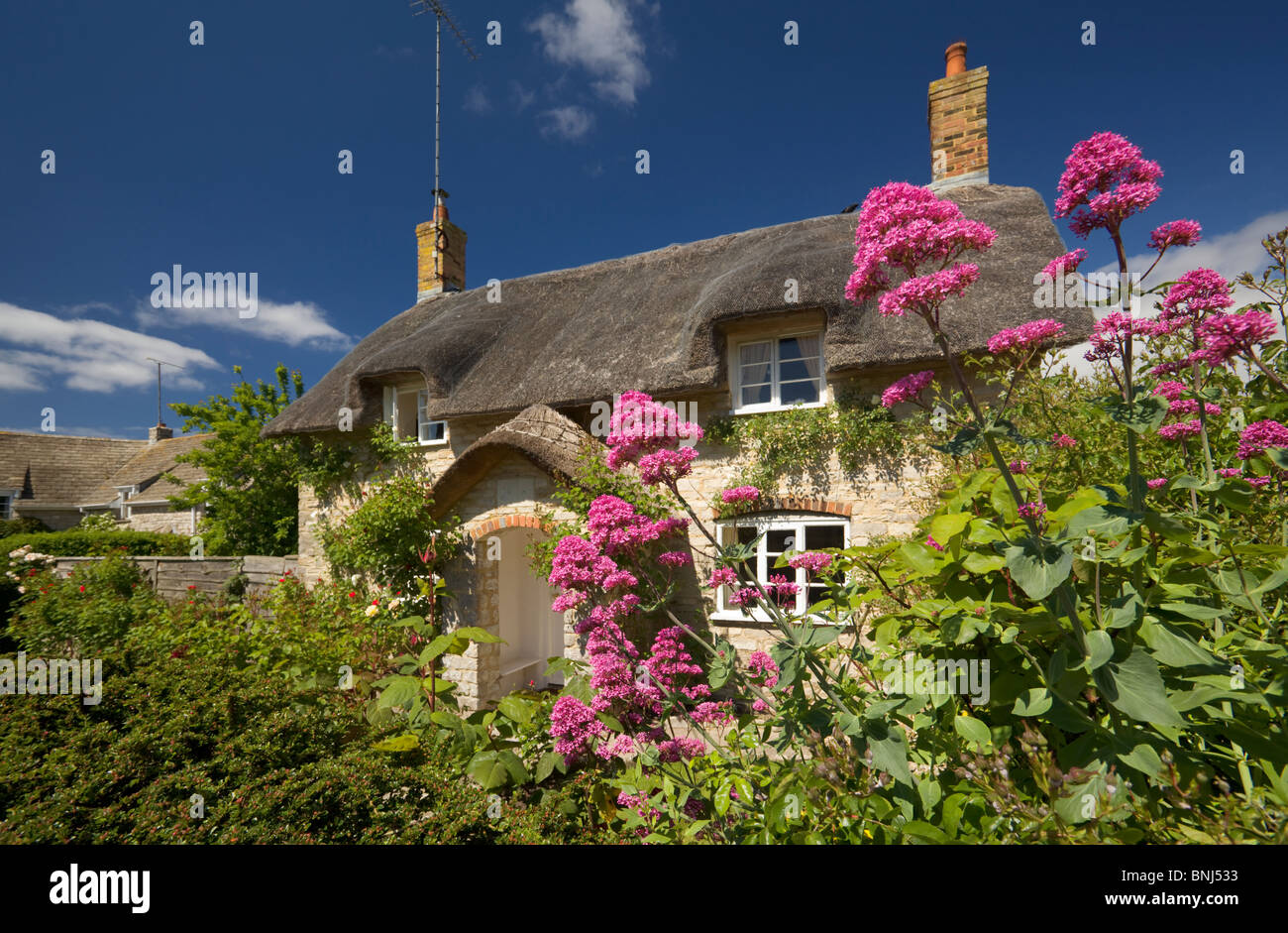 English chocolate box cottage hi-res stock photography and images - Alamy