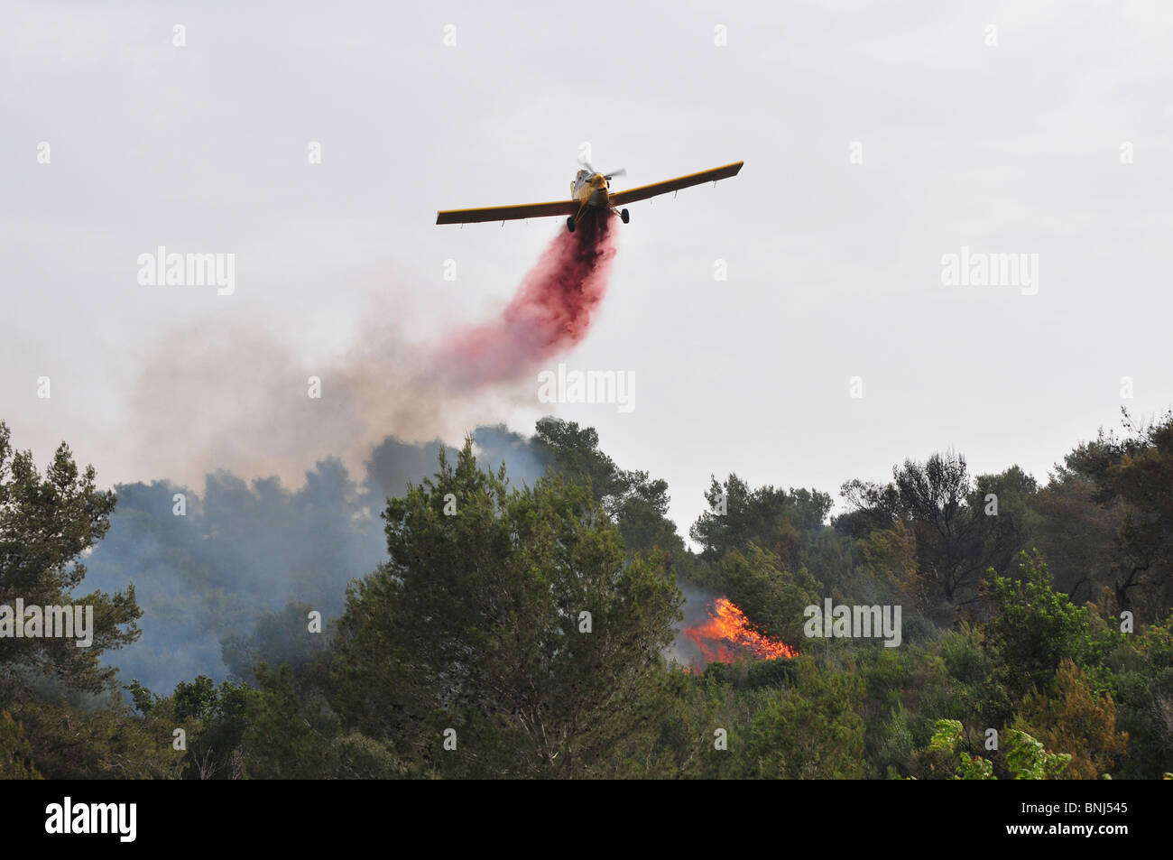 Israel, Haifa Carmel Mountain Forest, Aircraft dropping fire retardant ...