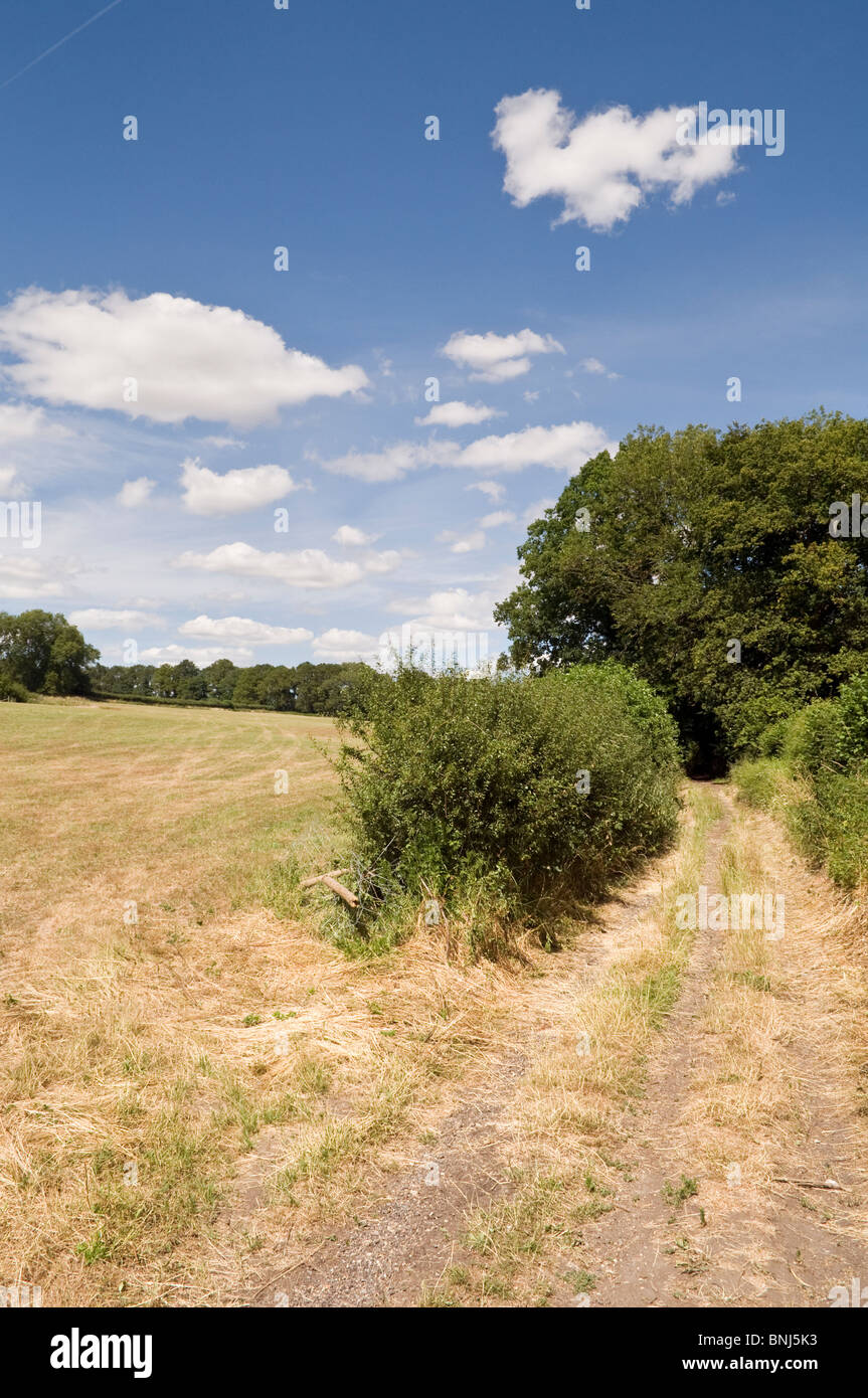 A rural country footpath borders Chilterns arable farmland landscape on ...