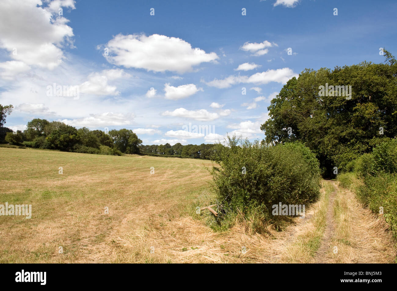 A rural country footpath borders Chilterns arable farmland landscape on ...
