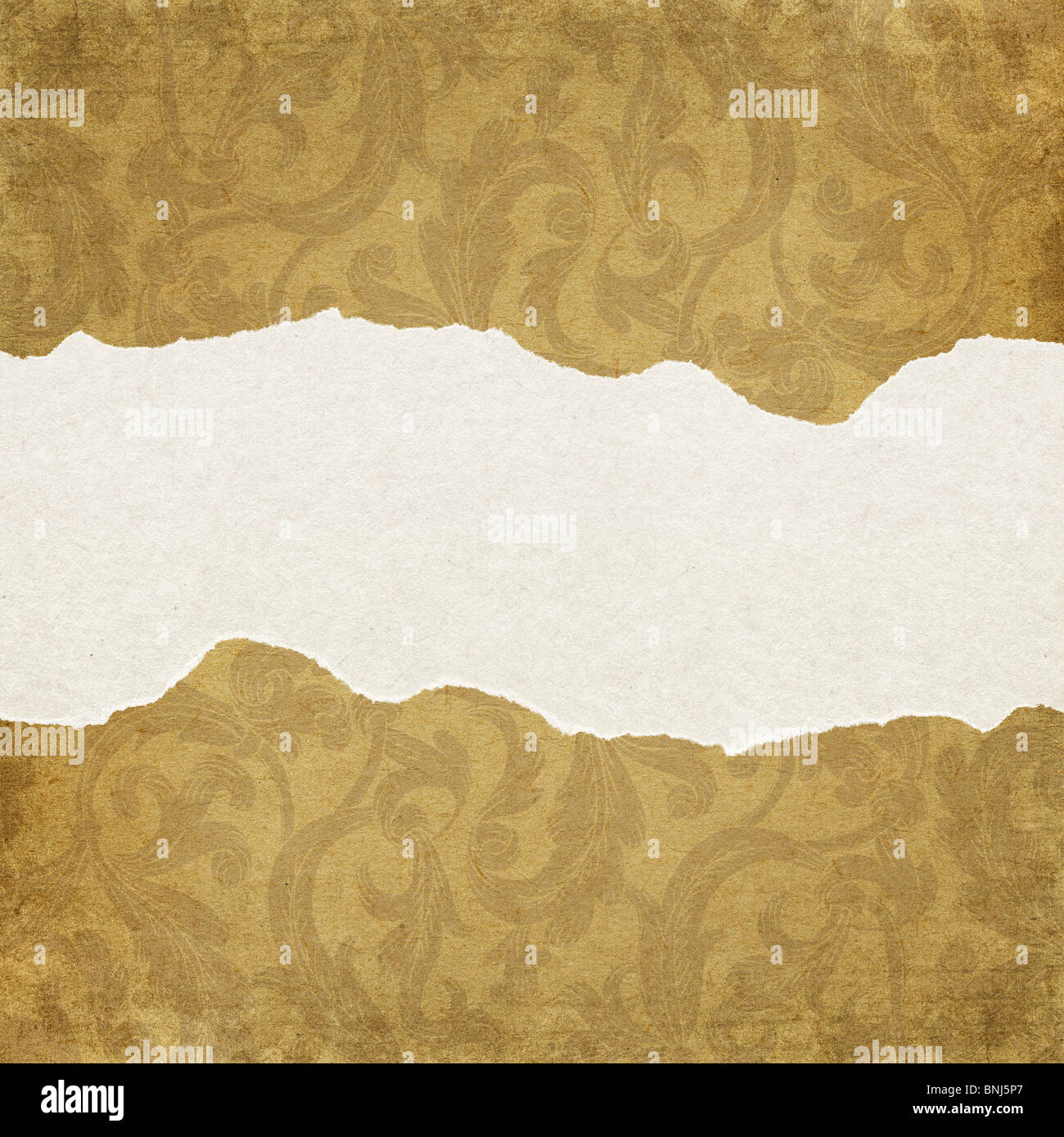 Torn paper edges hi-res stock photography and images - Alamy