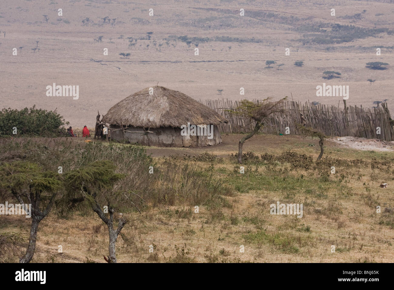 Tanzania Africa Masai tribe native natives local people hut savanna ...