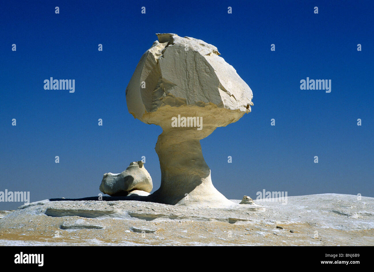 Egypt North Africa desert National park mushroom rocks White desert ...