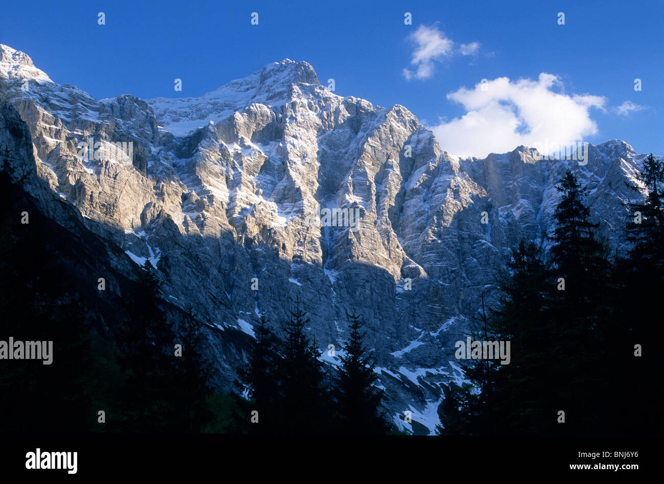 Slovenia Triglavnational park limestone firs cloud forest Mount Triglav ...