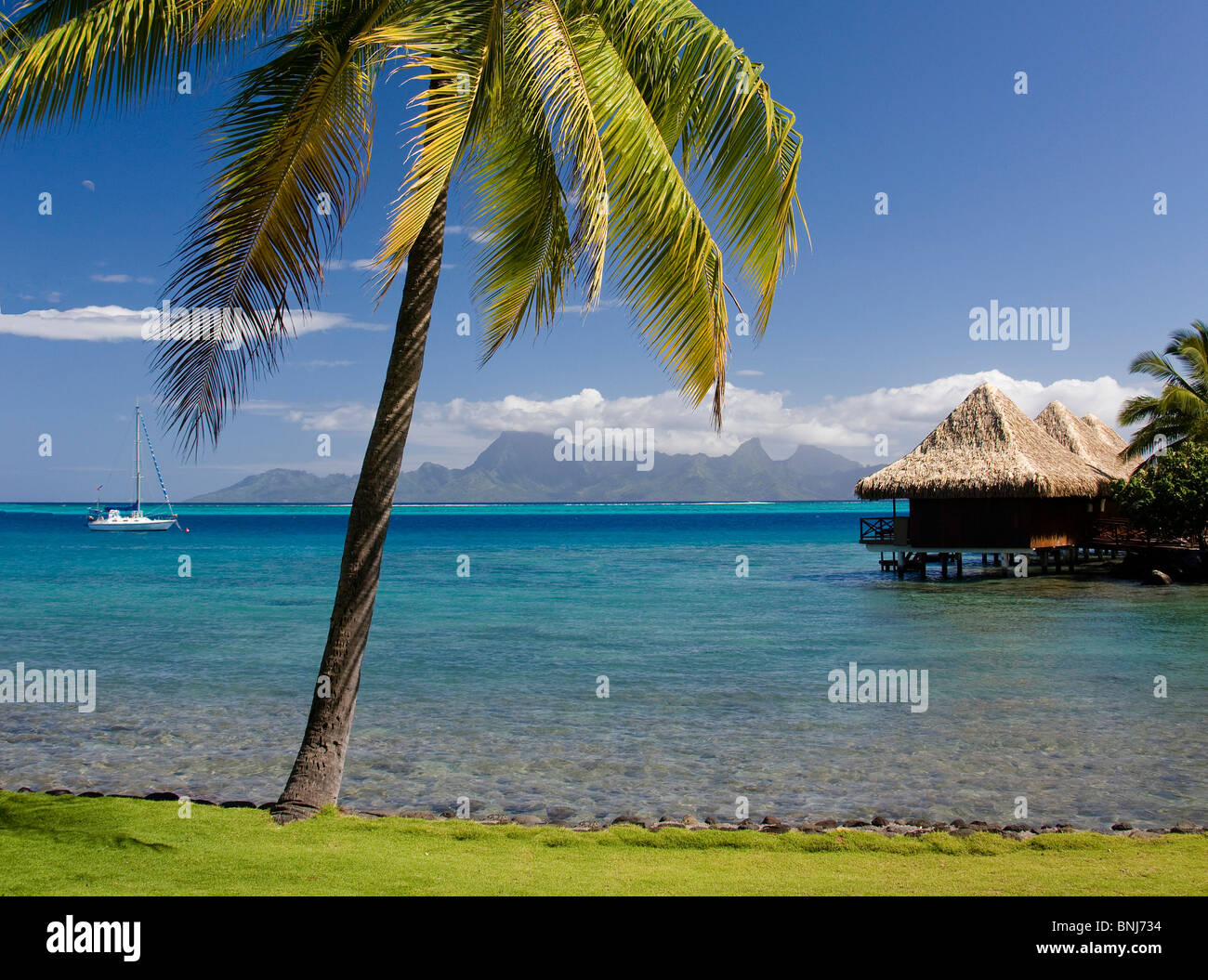 Tahiti Tahiti Nui Island Papete city sea Intercontinental Resort palm ...