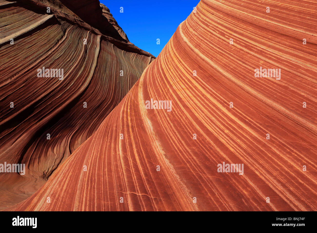 Coyote Buttes North Arizona USA North America Landscape Scenery Scenic ...