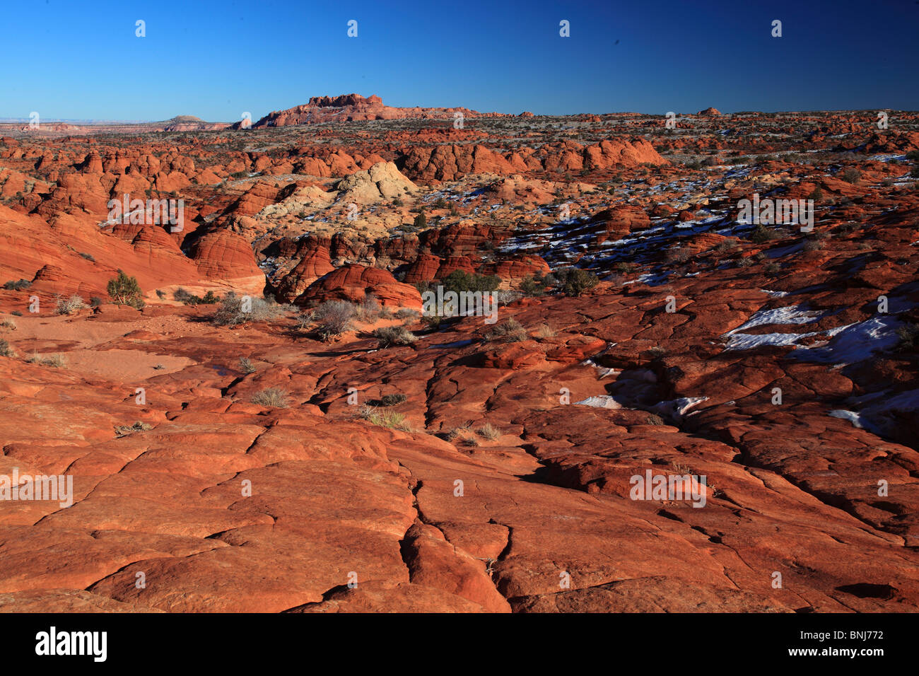 Coyote Buttes North Arizona USA North America Landscape Scenery Scenic ...