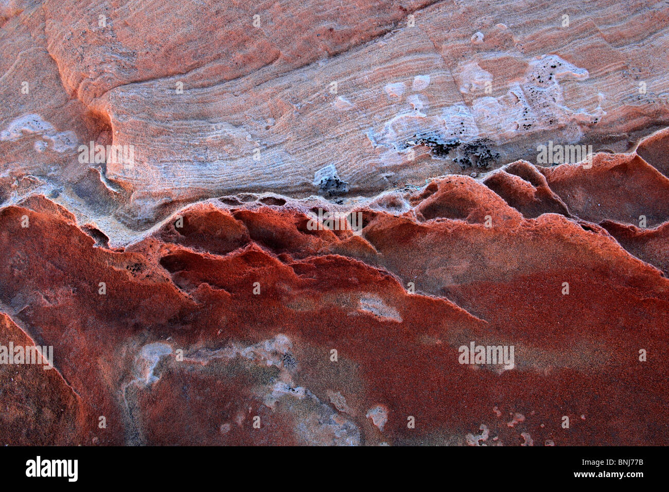 Sandstein Detail Close-up Coyote Buttes North Arizona USA North America ...