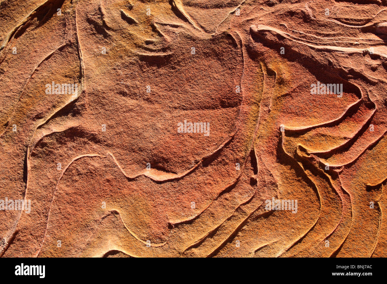 Sandstein Detail Close-up Coyote Buttes North Arizona USA North America ...