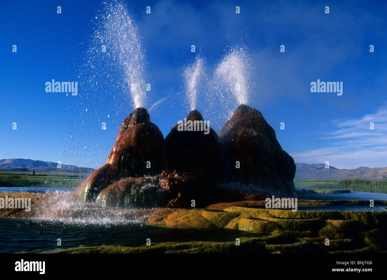 USA Nevada hot springs cones depositions colored rock algae Fly Geyser ...