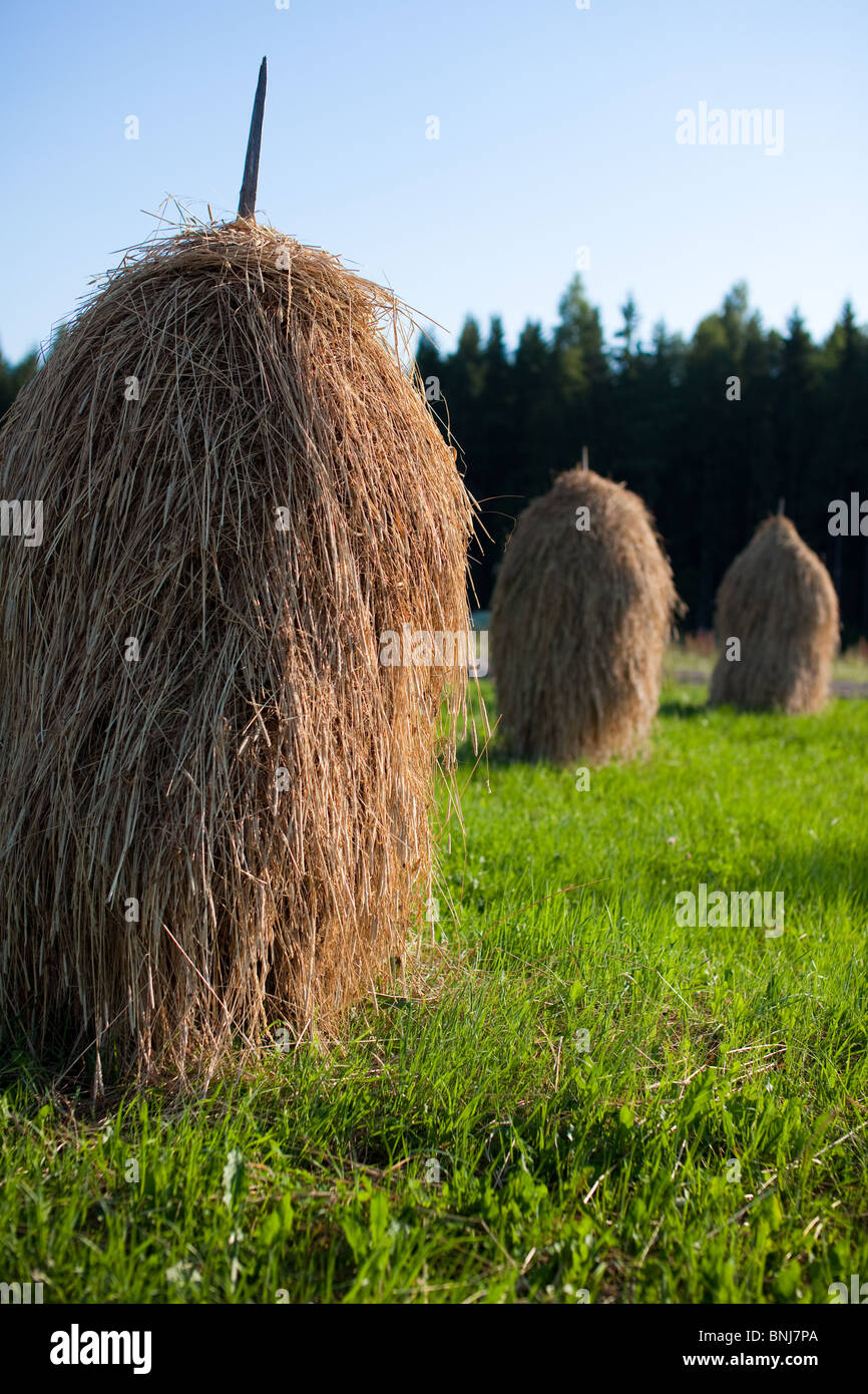 Hay poles hi-res stock photography and images - Alamy
