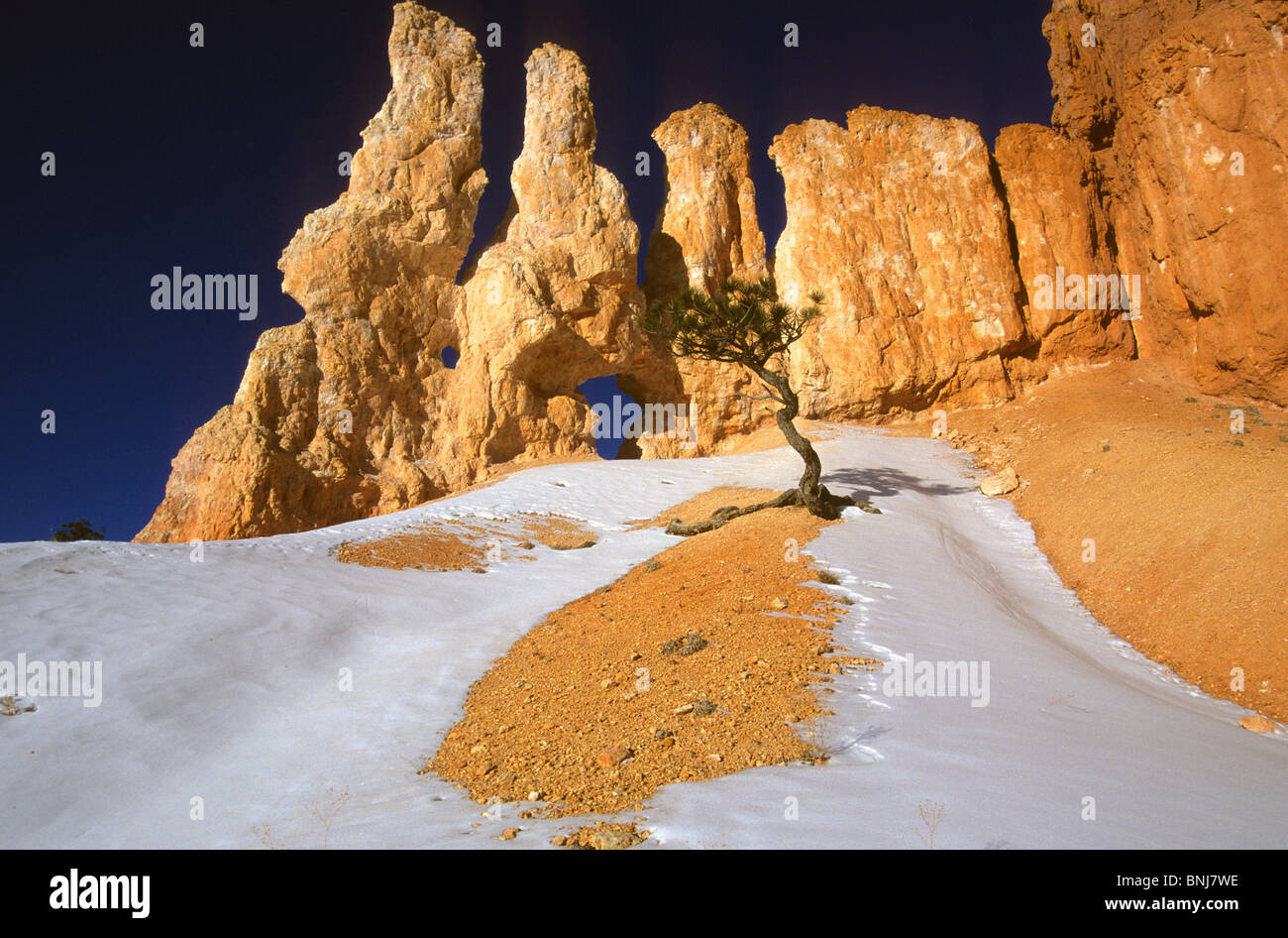 USA Utah national park rock pillar erosion Juniper tree snow winter ...