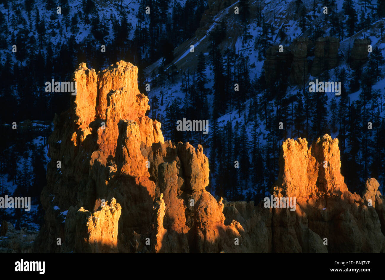 USA Utah national park rock turret erosion conifer trees snow winter ...