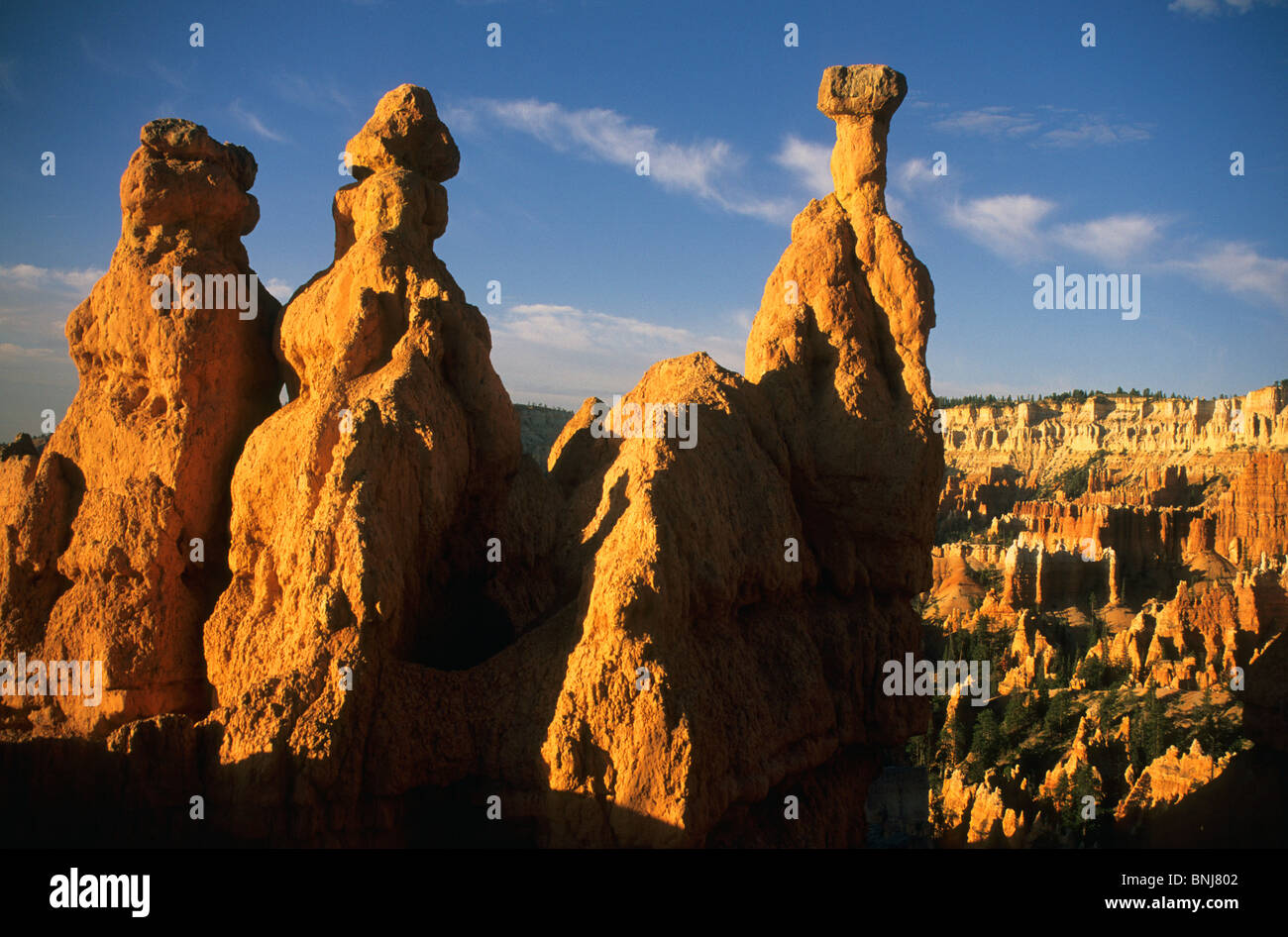USA Utah national park rock turret rock pillar erosion morning light ...