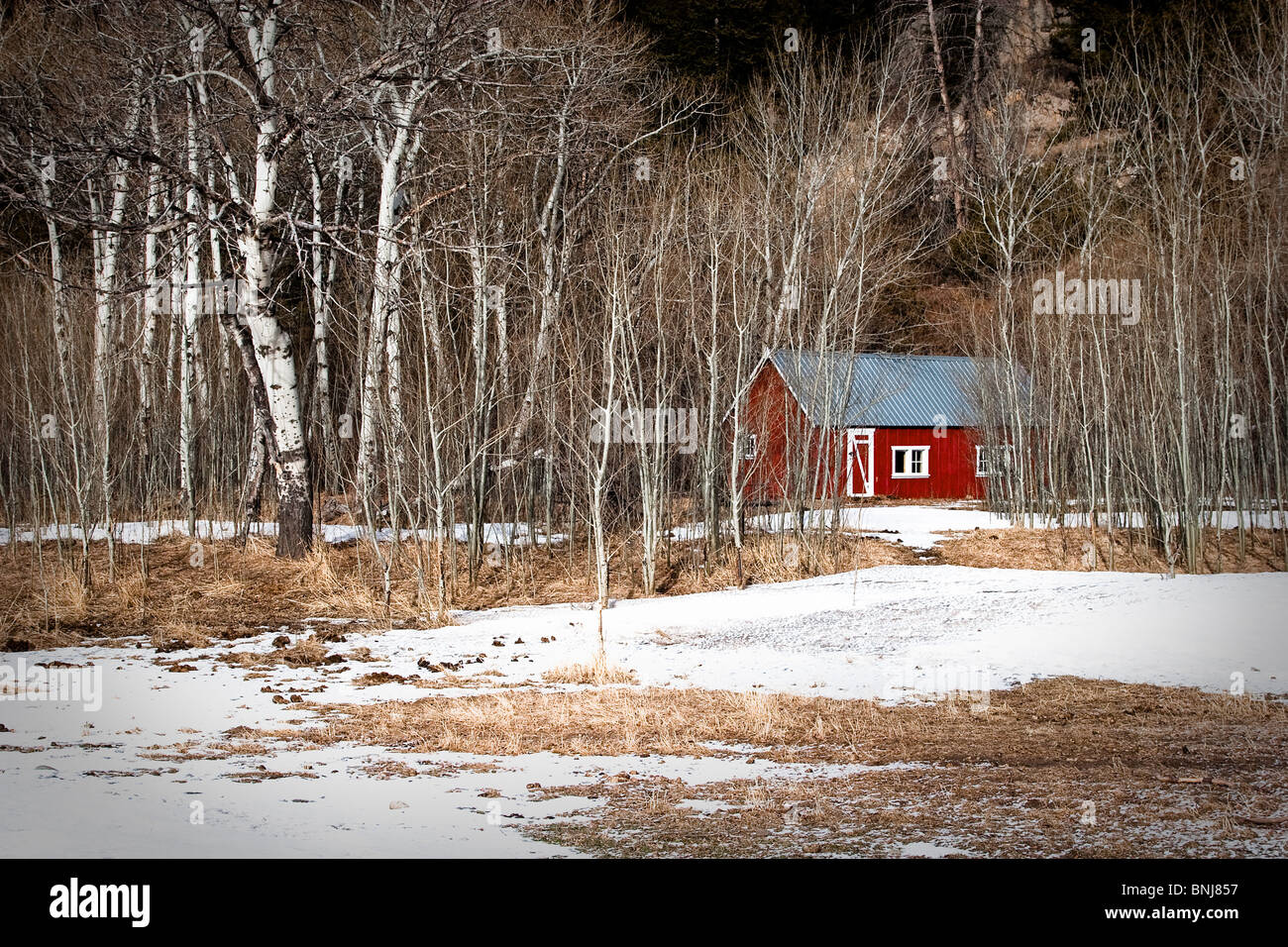 Red hut in trees, Yellowstone National Park Stock Photo - Alamy