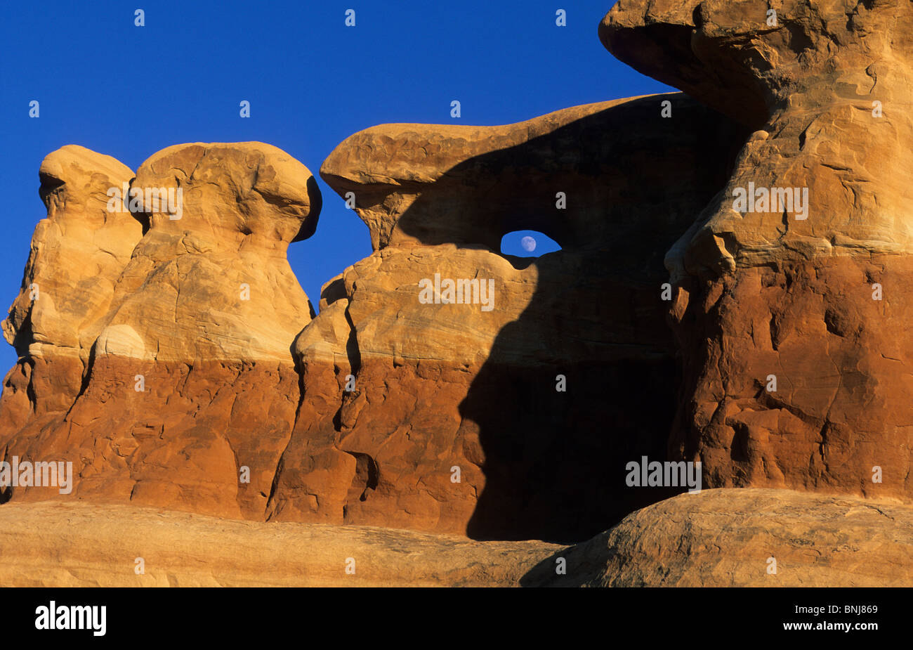 USA Utah Grand Staircase Escalante National monument sandstone rock ...