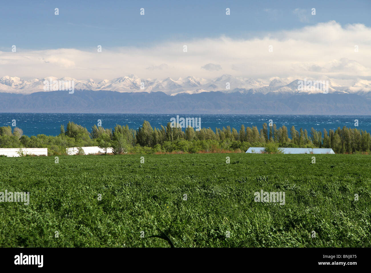 Kyrgyzstan and issyk kol lake hi-res stock photography and images - Alamy
