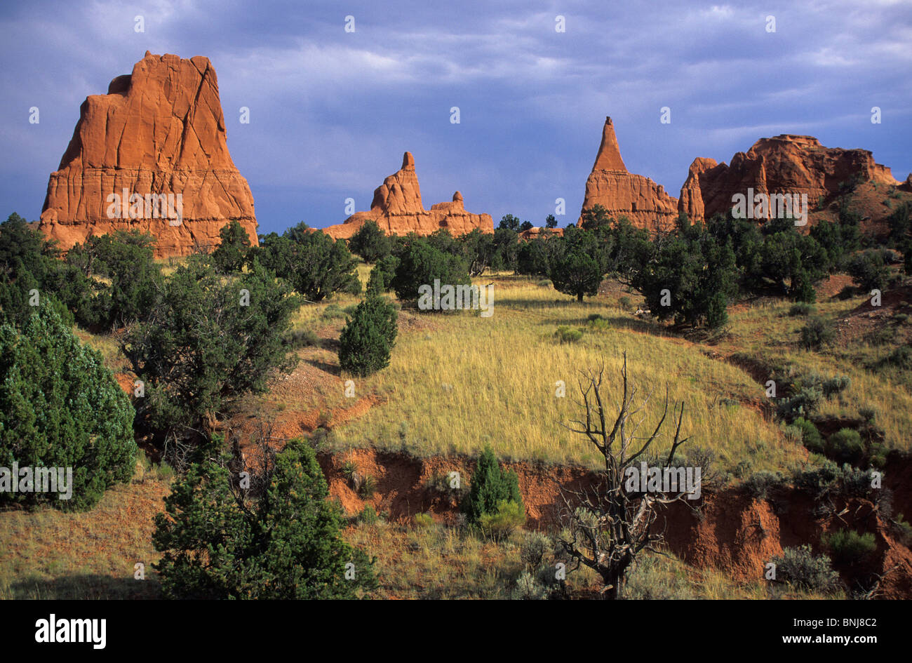 USA Utah State park colored sandstone rocks rock towers storm clouds ...