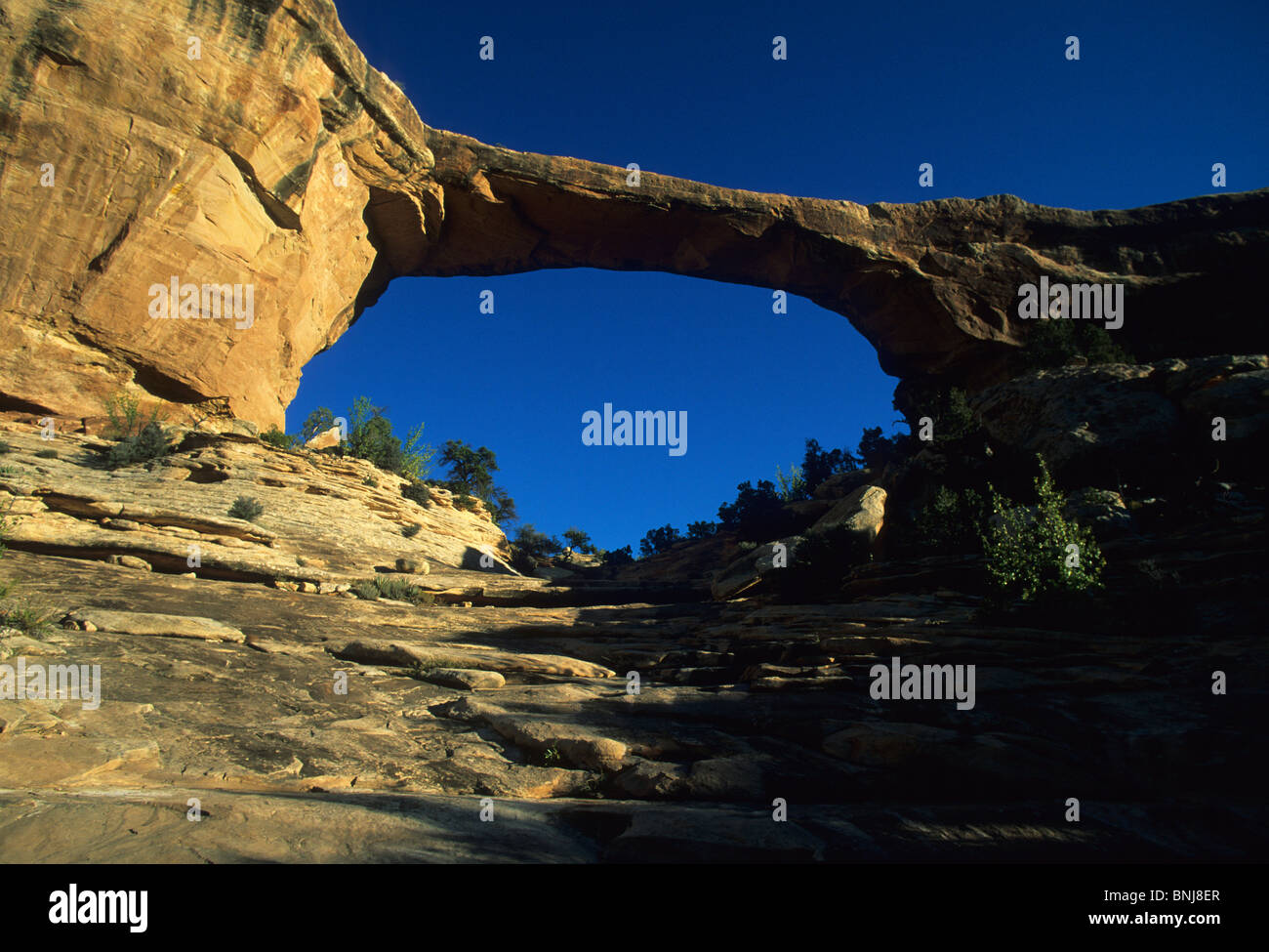 USA Utah National monument natural arch stone arch Arch Natural Bridges ...