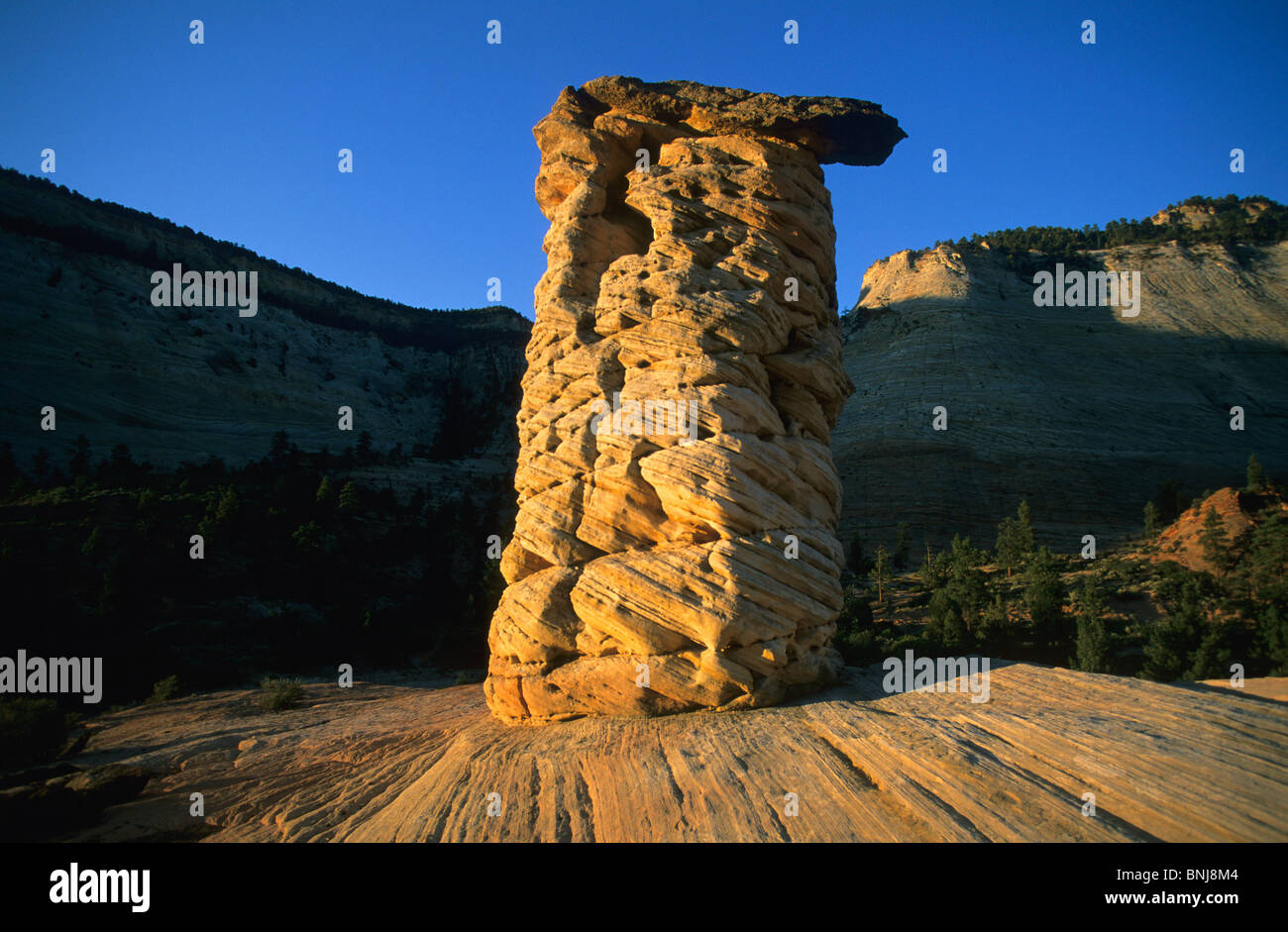 USA Utah national park sandstone rock rock pillar Zion North America ...