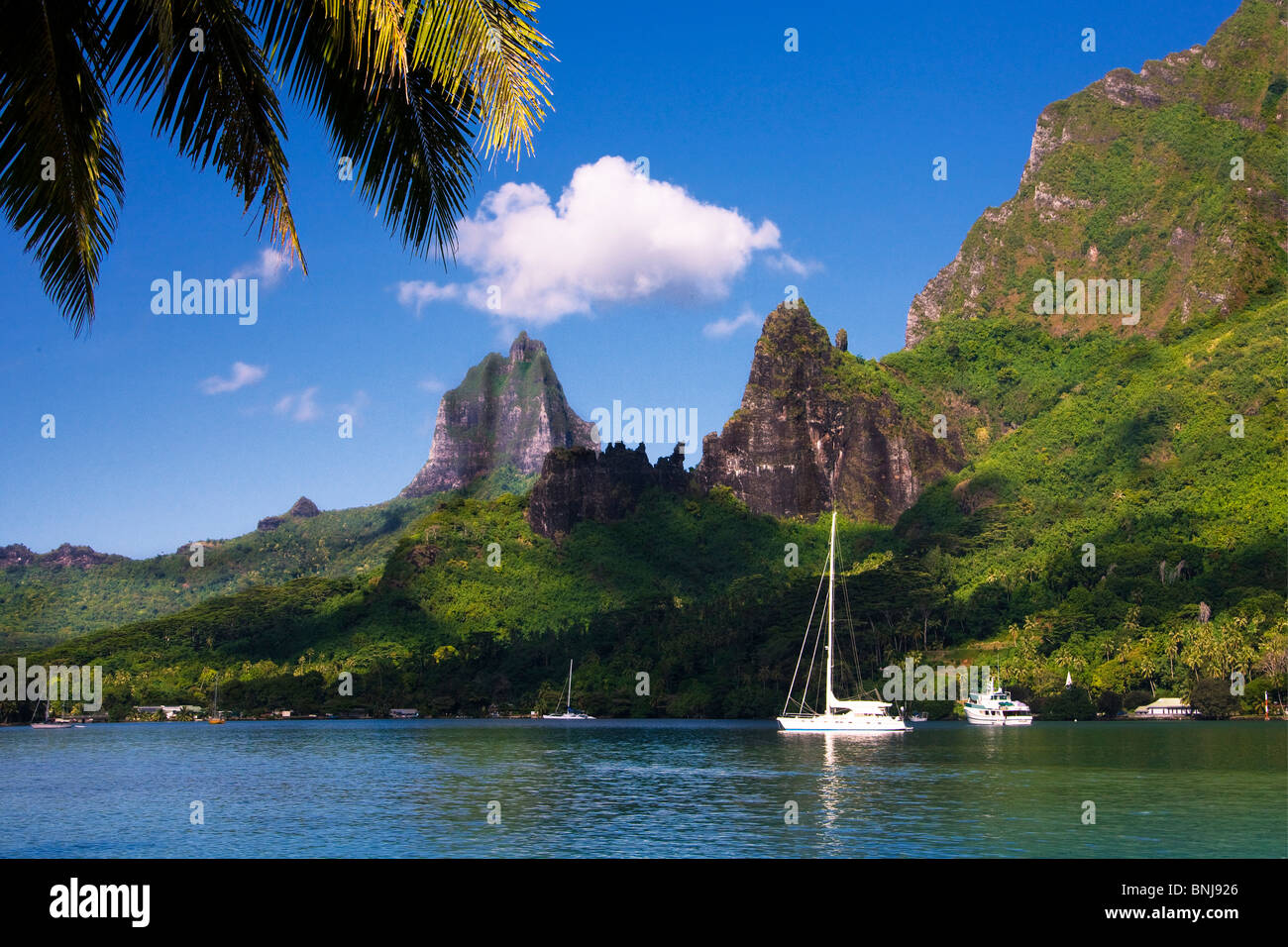 Cooks bay moorea tahiti hi-res stock photography and images - Alamy