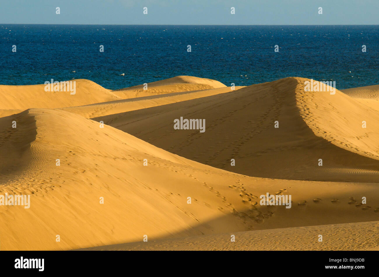 Sand dunes Maspalomas coast sea Atlantic ocean Gran Canaria Canary ...