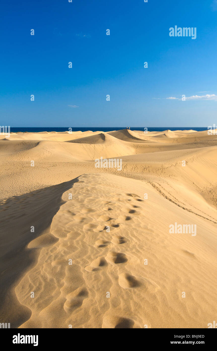 Sand dunes Maspalomas coast sea Atlantic ocean Gran Canaria Canary ...