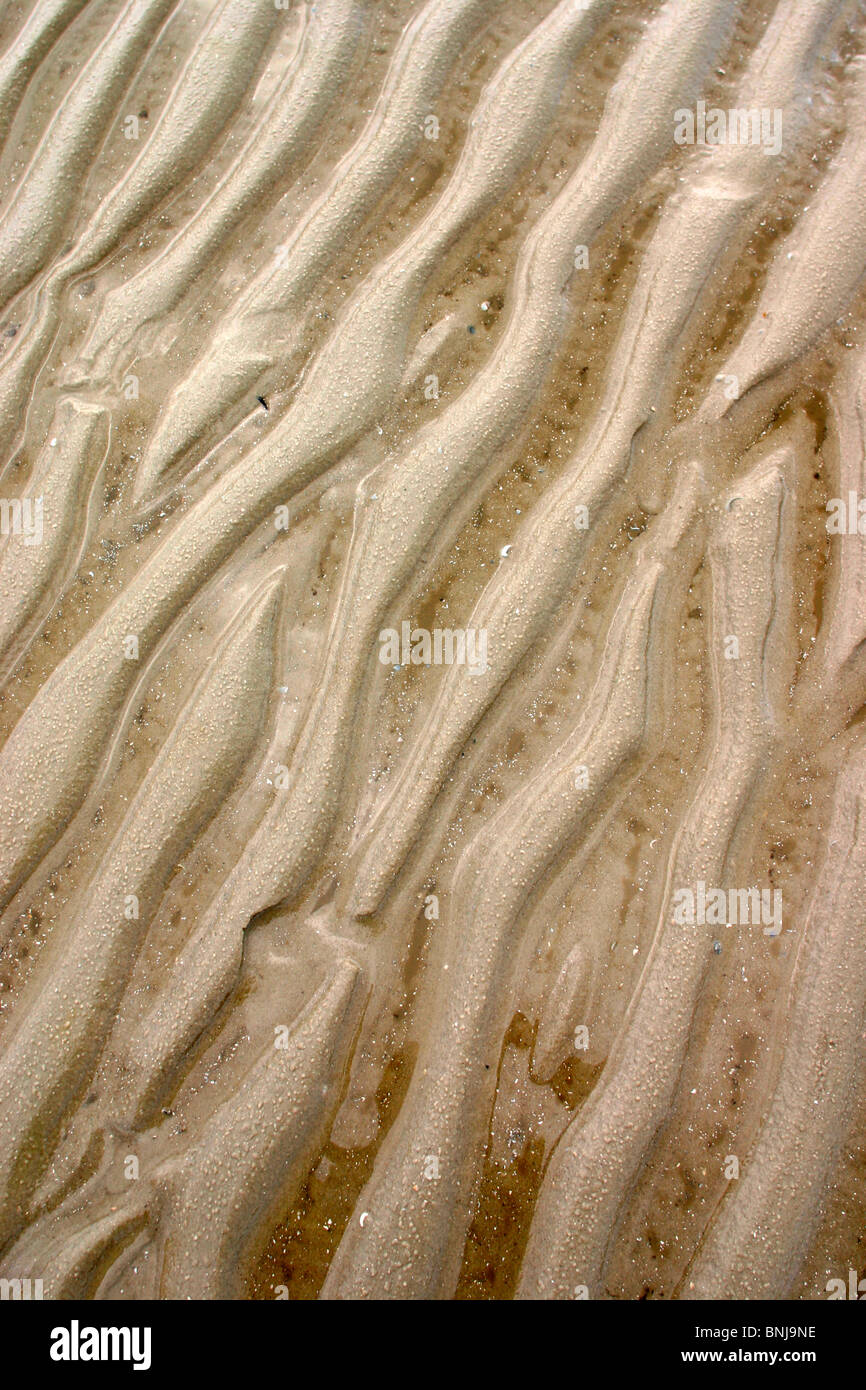 Sand salt water tide structure St. Peter-Ording mud flats Wadden Sea ...